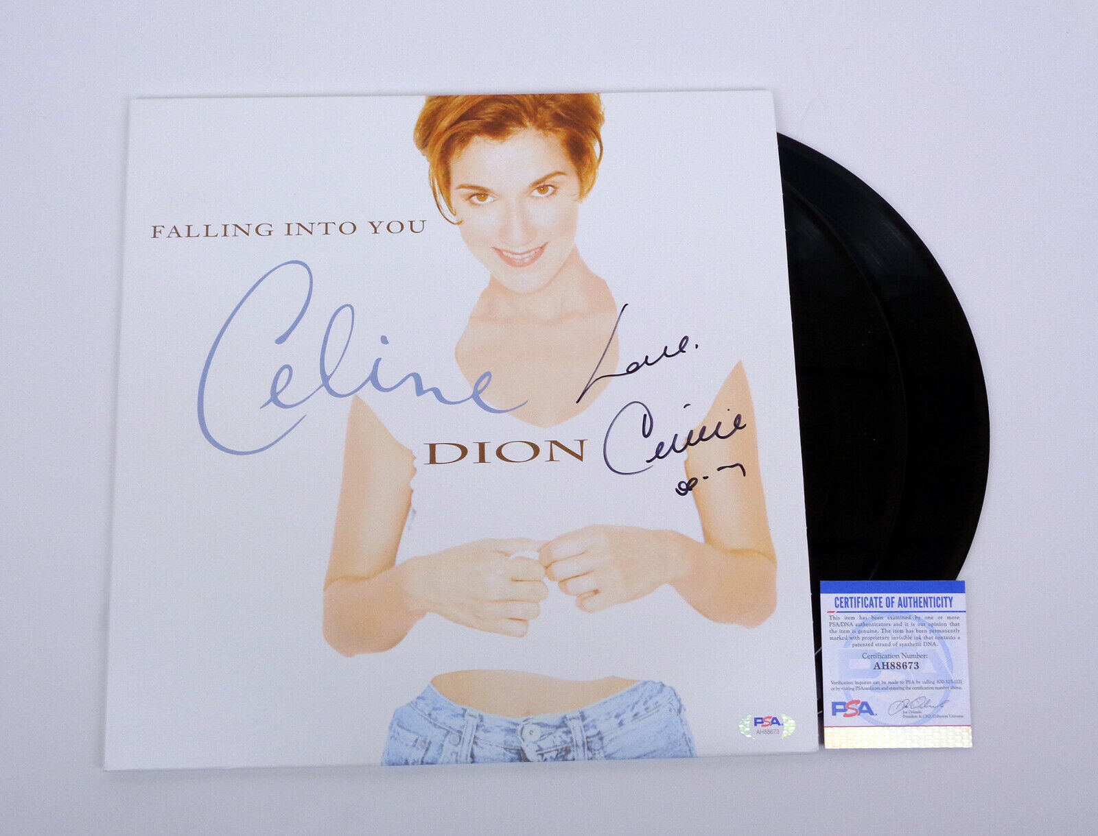 Celine Dion Falling Into You Album